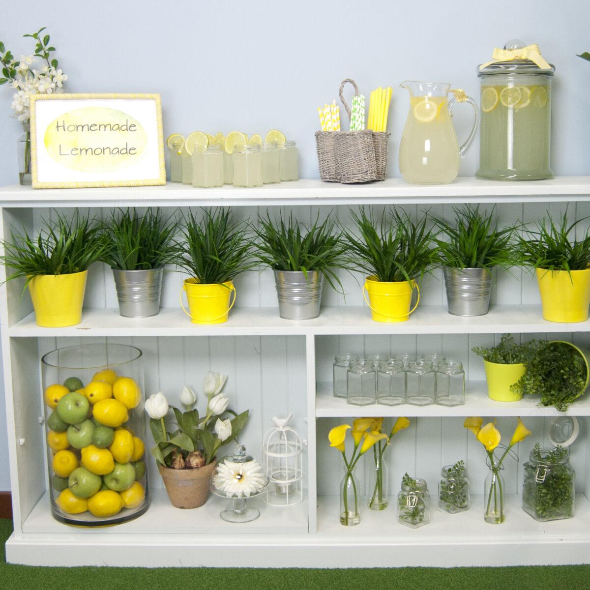 Homemade Lemonade Stand - Flavours Catering + Events